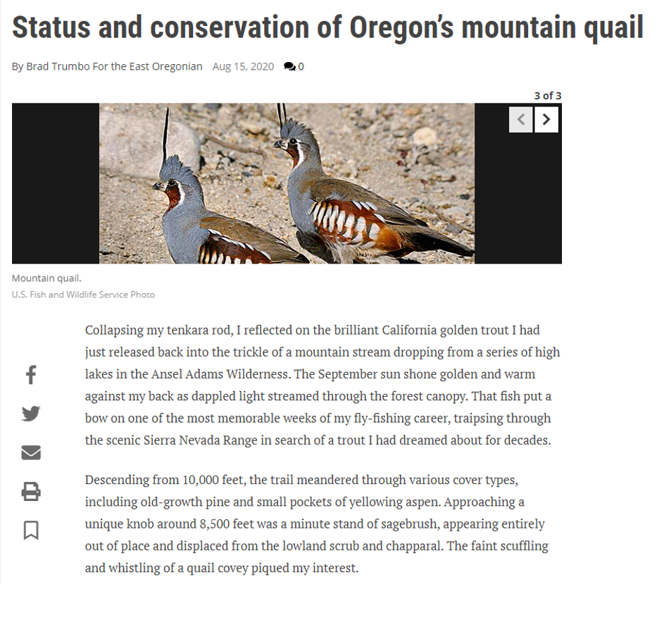 Upland Pursuits – Status and Conservation of Oregon’s Mountain Quail ...